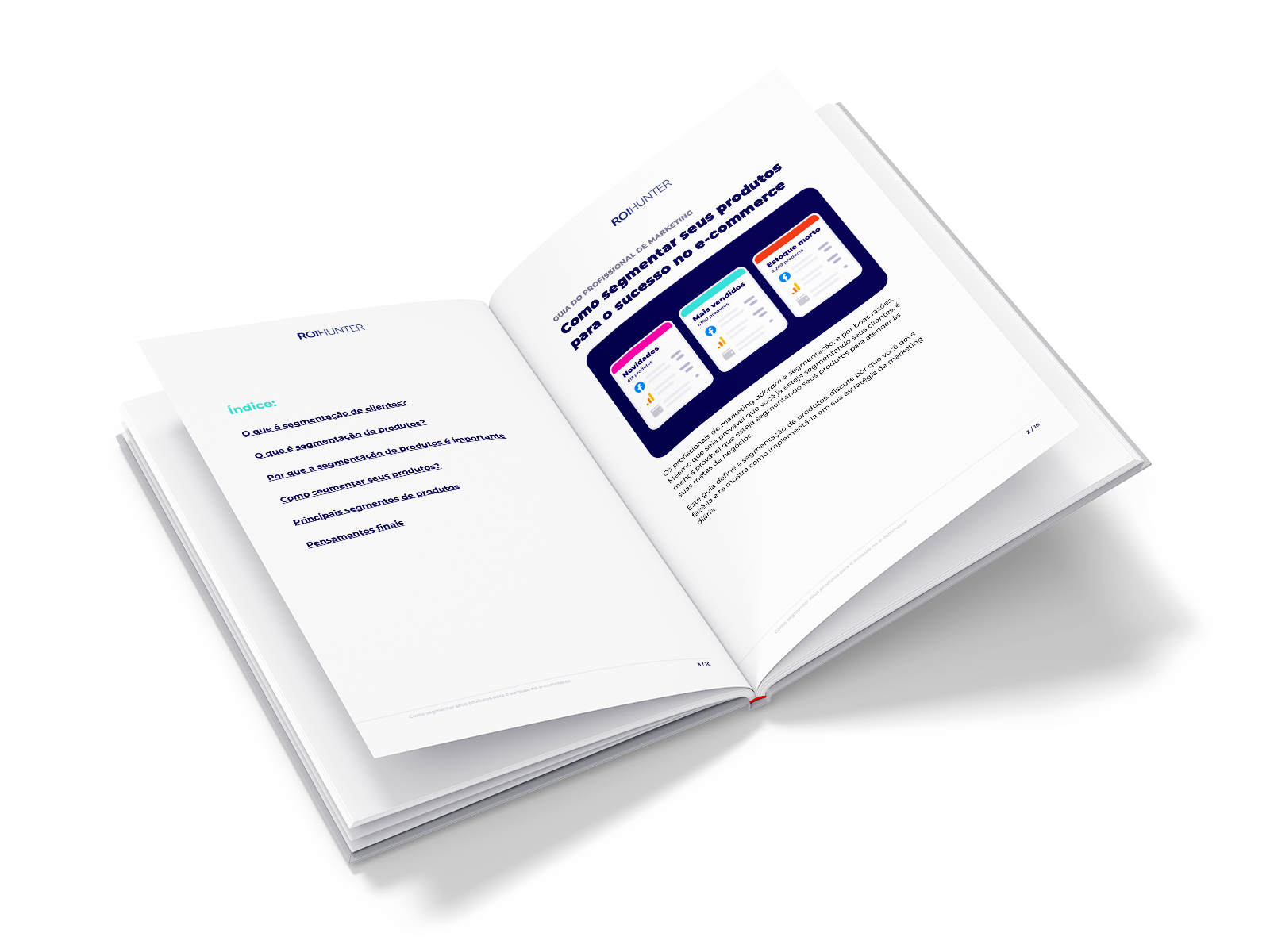 Como Segmentar Seus Produtos Para o Sucesso no E-Commerce E-book